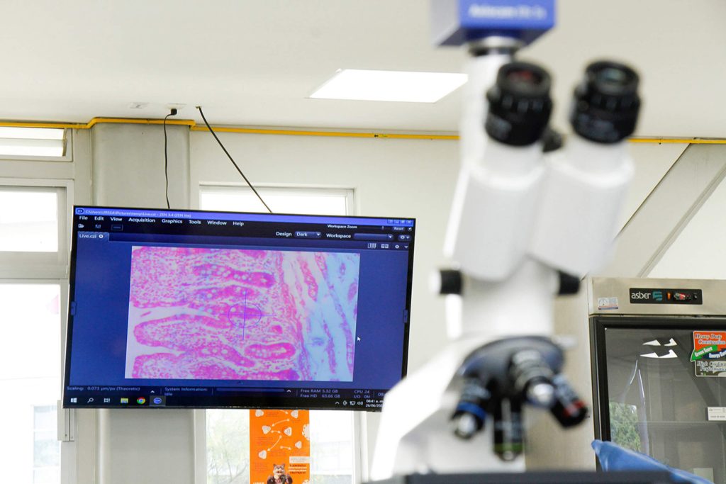 Galería URSE - Universidad Regional del Sureste A.C.